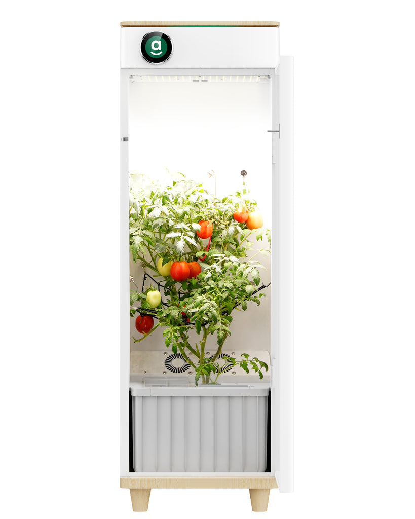 Abby Grow Box | Your Grow Depot