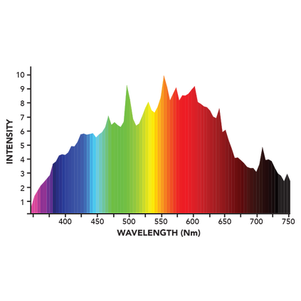 Grower's Choice Ceramic Metal Halide CMH Lamp 4200K 315W | Your Grow Depot