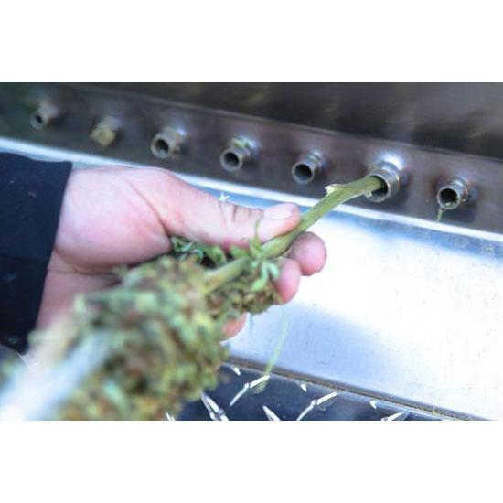 TrimWorkz Ultimate Bud Bucker XL | Your Grow Depot